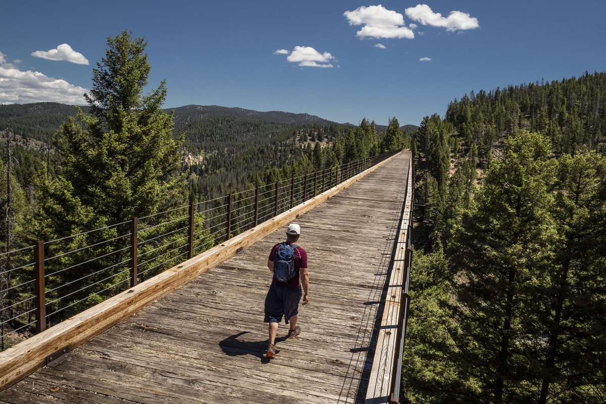 Lingo to Leave Behind After Recovery - Renaissance Ranch