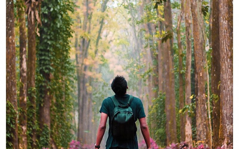 How Treatment Can Ease Isolation